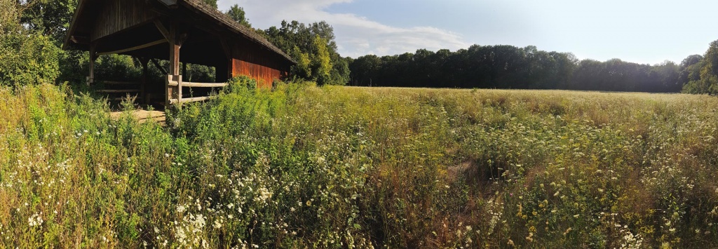 Semi-natural grassland - NatureSpots App - Let's explore Nature together